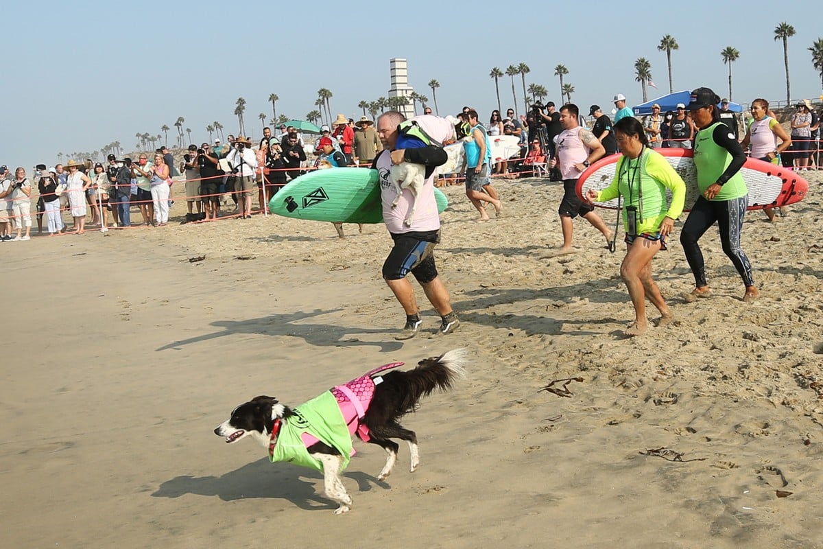 What is Huntington Beach Known For? (17 Things It's Famous For)