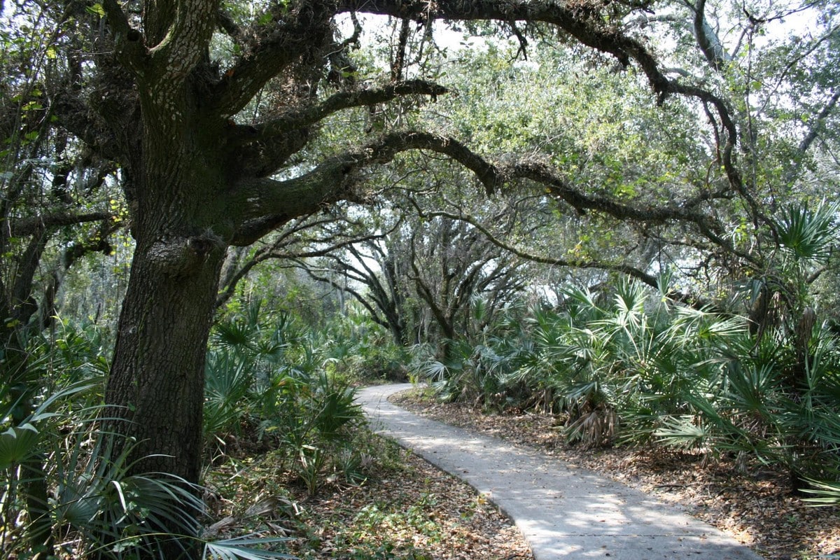 What is Florida Known For? (17 Facts It's Famous For)