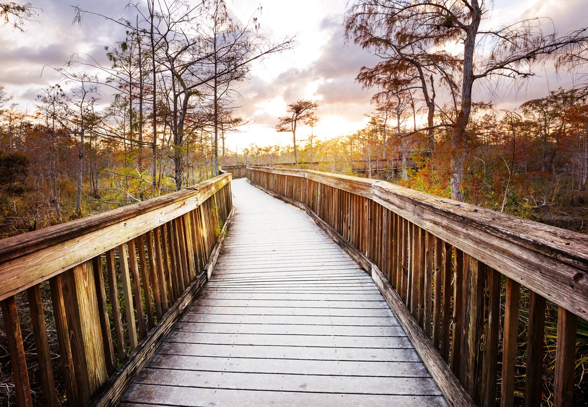 What is Florida Known For? (17 Facts It's Famous For)