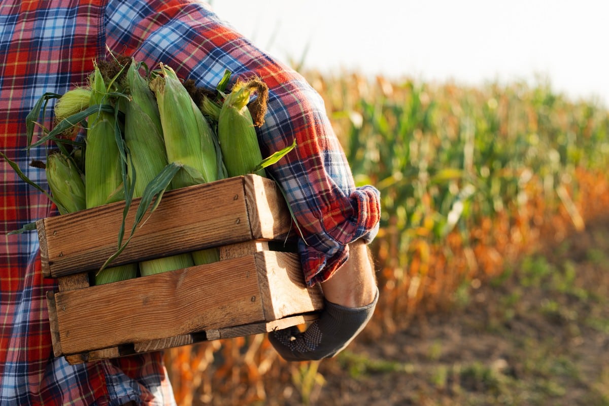 What Is Indiana Known For? (16 Things It's Famous For)