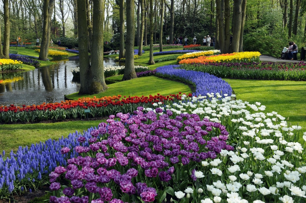 What Is The Netherlands Known For? (20 Things It's Famous For)