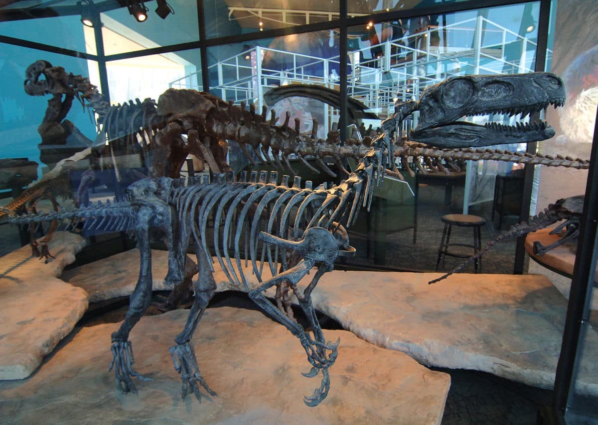 What Is Baltimore Known For? (15 Things It's Famous For)