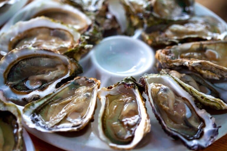 What is Virginia Known For? (17 Things It's Famous For)