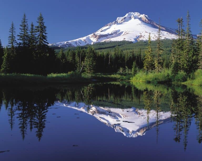 What is Oregon Known For? (18 Things It's Famous For)