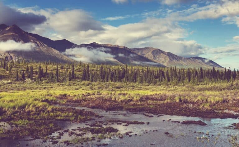 What is Alaska Known For? (17 Things It's Famous For)