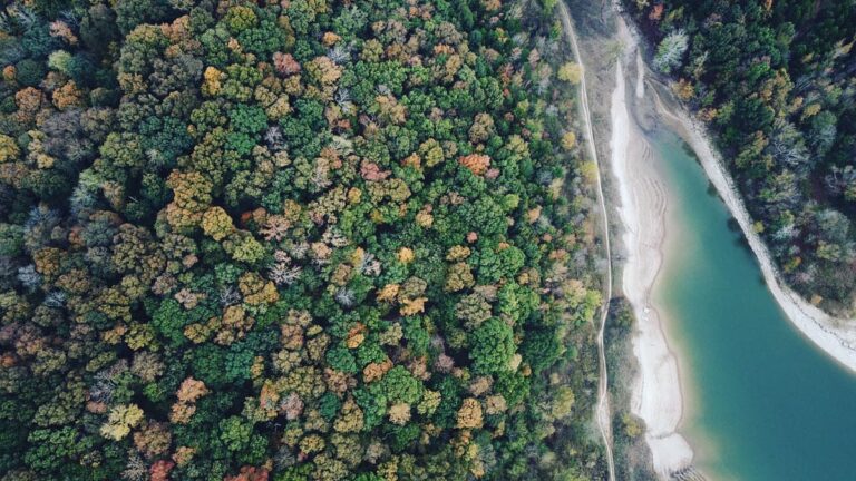 What is Oregon Known For? (18 Things It's Famous For)