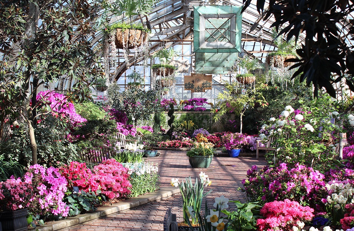 What is Chicago, Illinois Known For? (18 Things It's Famous For)