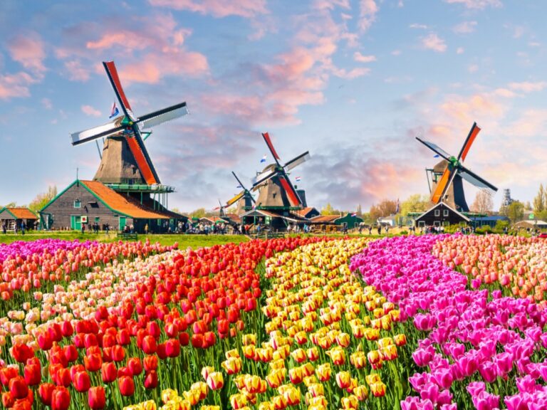 What is Amsterdam Known For? (18 Things It's Famous For)