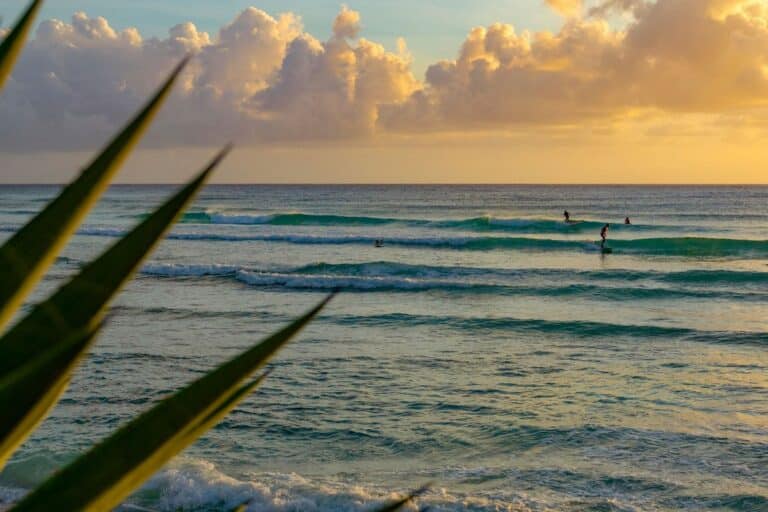 What is Barbados Known For? (18 Things It's Famous For)