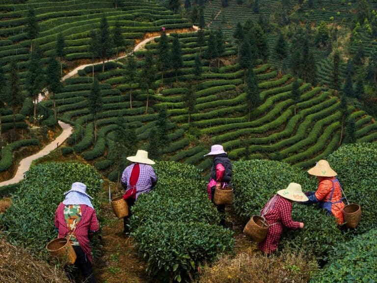 What is Indonesia Known For? (15 Things It's Famous For)