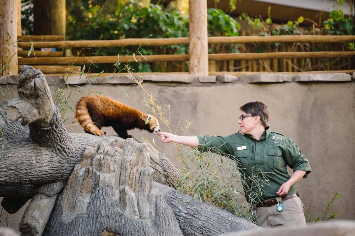 What is Salt Lake City, Utah Known For? (18 Things It's Famous For)