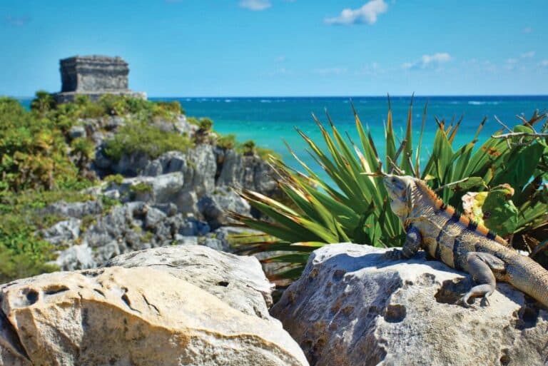 What is Mexico Known For? (20 Things It's Famous For)