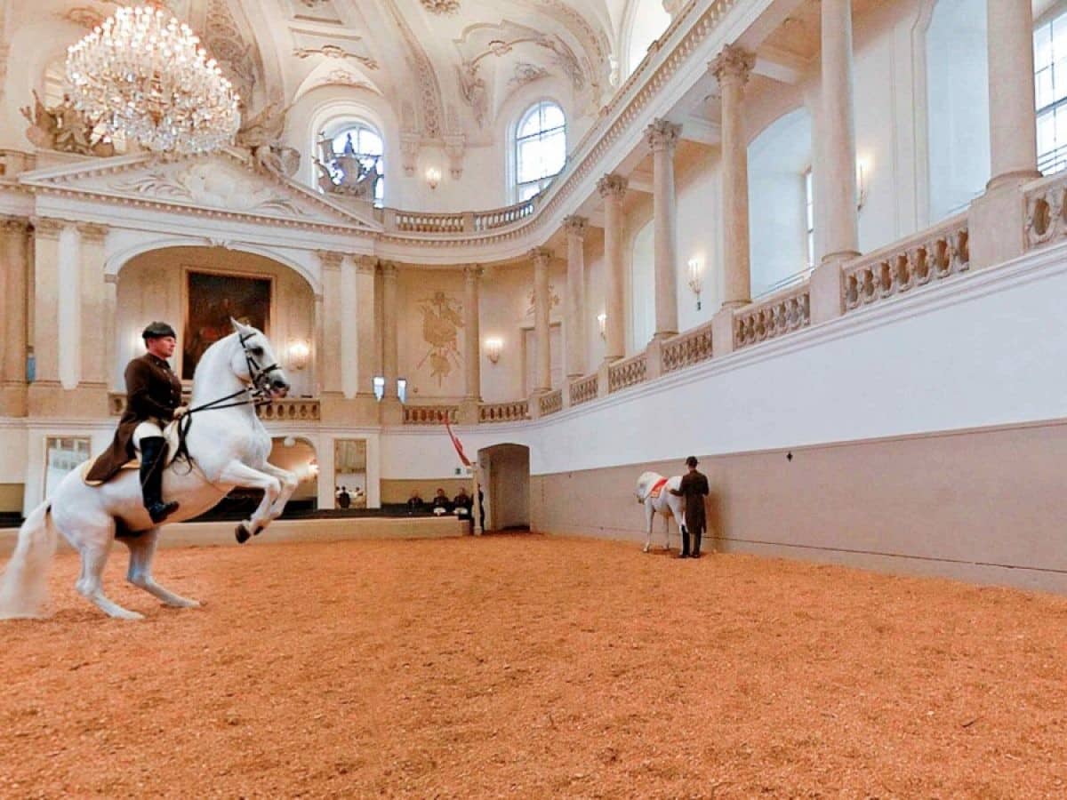 What is Vienna Known For? (18 Things It's Famous For)